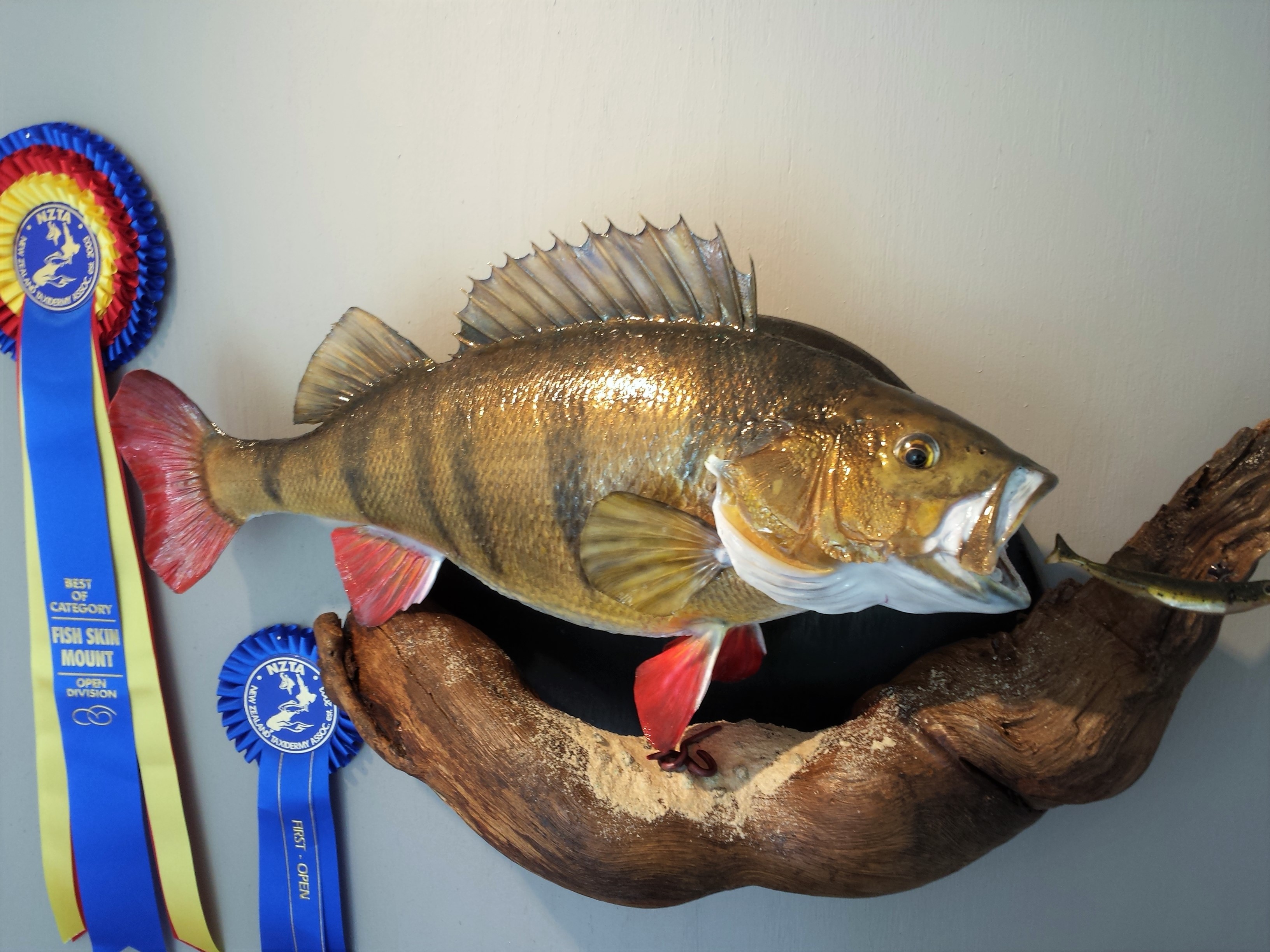 Perch mounts – Andrew Xanth Taxidermy